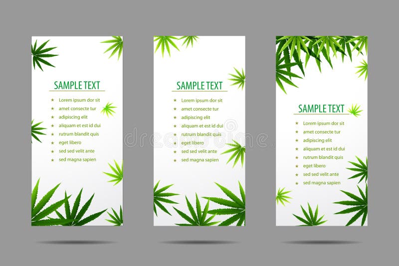 Frame Formed with Hemp Marijuana Leaves Isolated on White. Stock ...