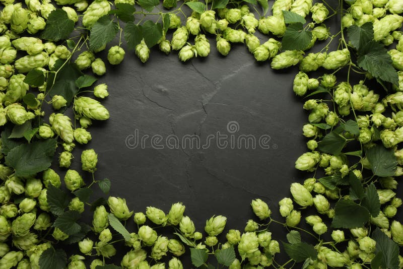 Frame of Fresh Green Hops and Leaves on Black Table, Flat Lay. Space ...