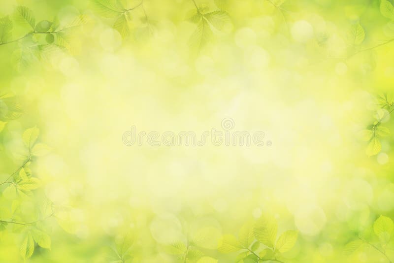 Frame of Fresh Green Leaves Stock Photo - Image of frame, soft: 87122946