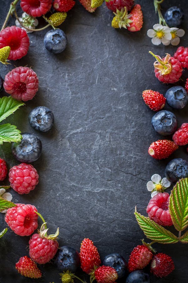 Frame of Fresh Wild Berries with Green Leaves Stock Image - Image of ...