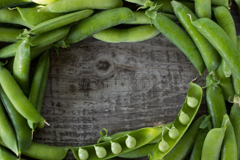 Young Pods of Beans on the Stem in the Garden Stock Image - Image of ...