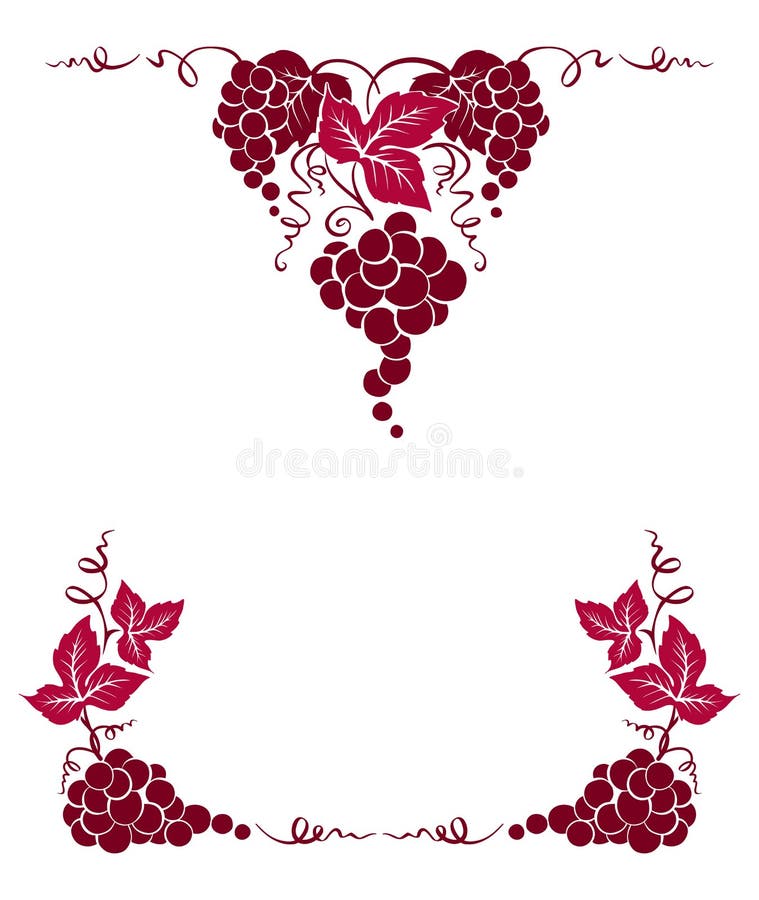 Frame from grapes stock vector. Illustration of graphic - 83706665