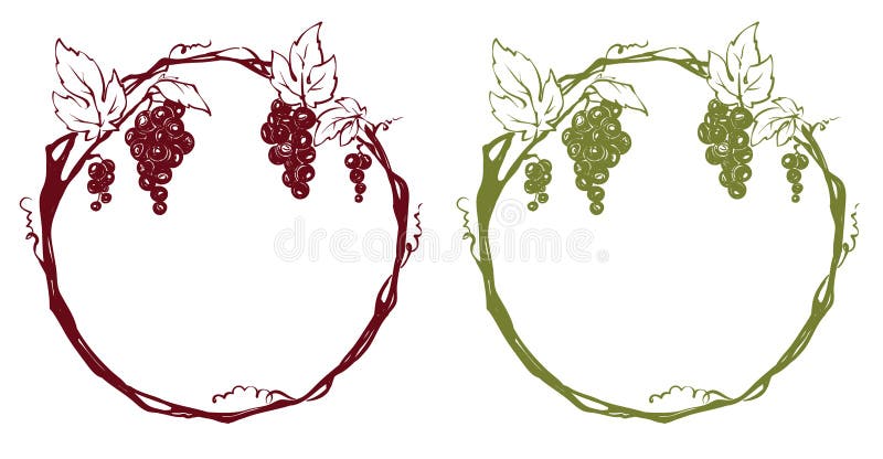 Frame from grapes stock vector. Illustration of round - 109351972