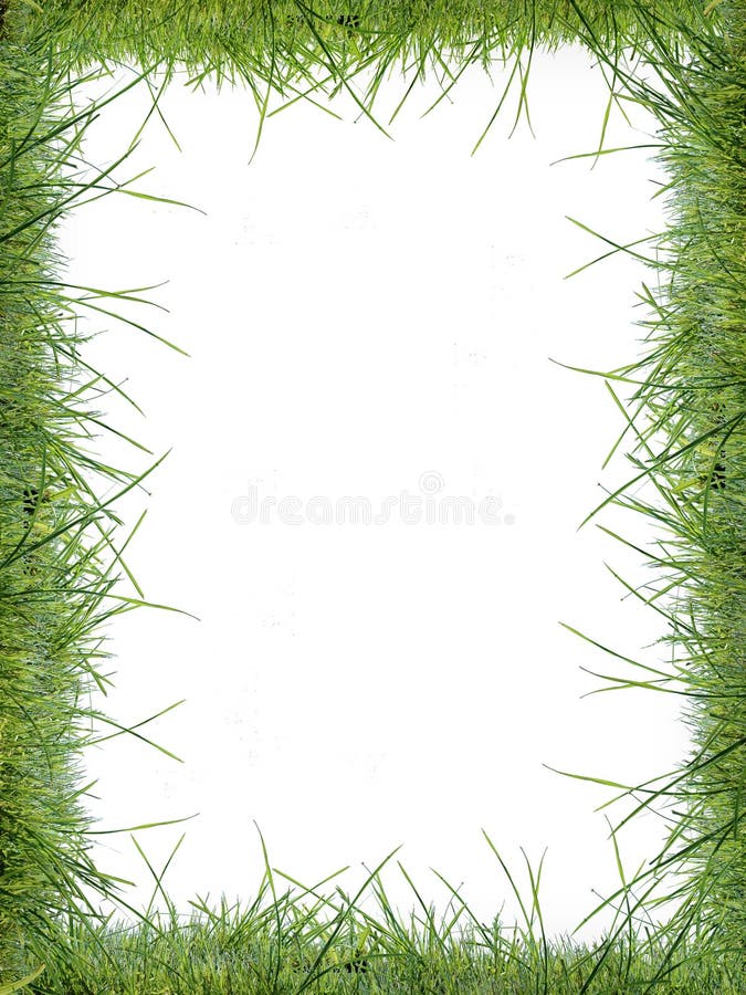 Frame of Grass stock image. Image of leaf, ecology, beauty - 13646989