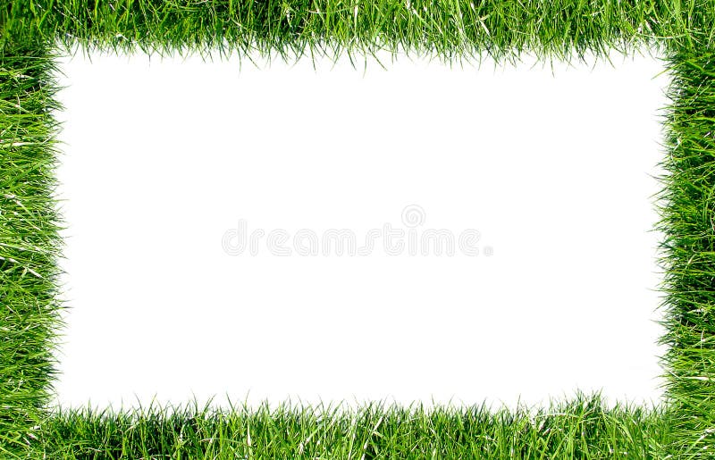 Frame grass stock photo. Image of stained, pattern, meadow - 15645184