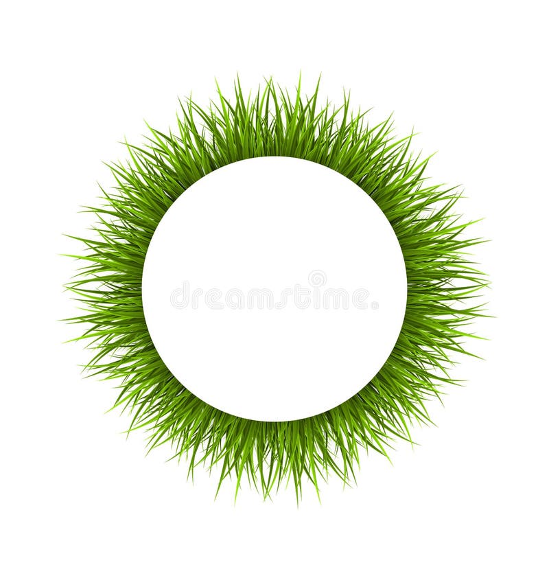 Frame with Green Grass. Floral Nature Background Stock Vector ...