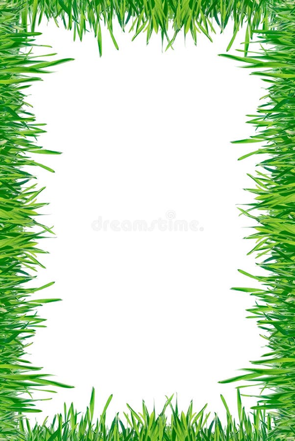 Frame Of Green Grass Isolated On A White Background. Stock Photo ...