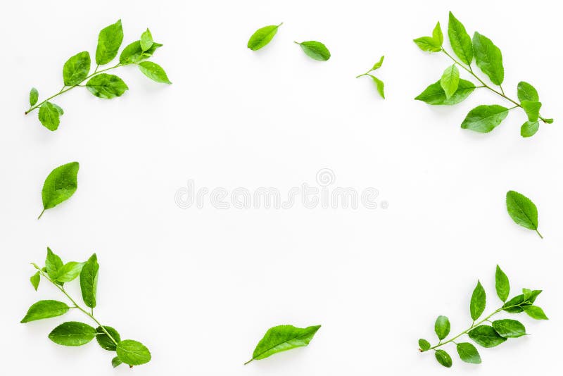 Frame of Green Leaves. Nature Background Layout Stock Photo - Image of ...