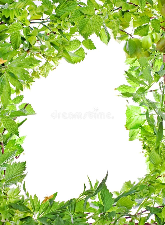 Frame of green plants stock image. Image of relaxation - 19472377