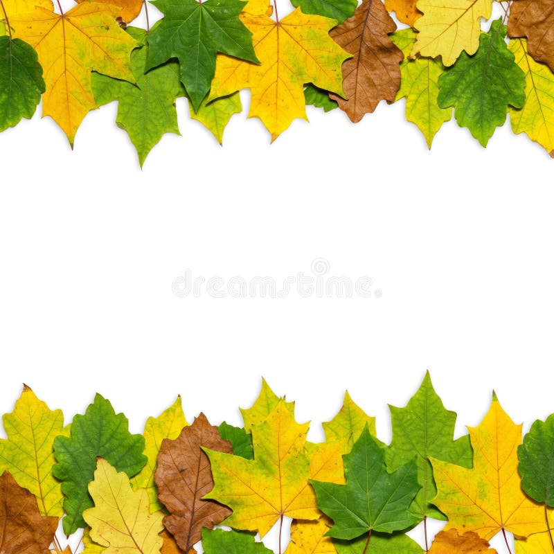 Frame of Green, Yellow, and Brown Fall Foliage Stock Illustration ...