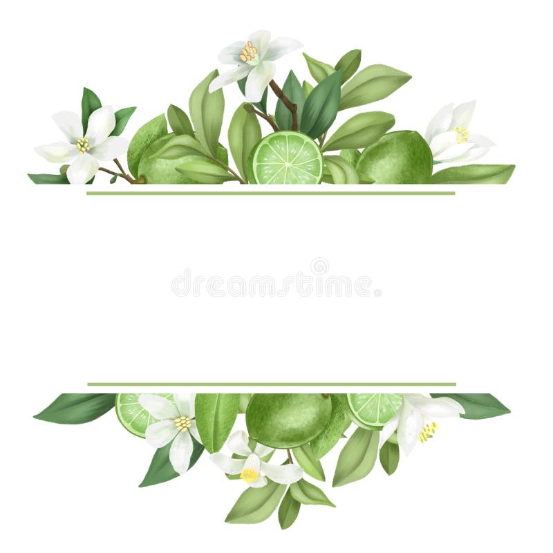 Lime Flowers Stock Illustrations – 10,764 Lime Flowers Stock ...