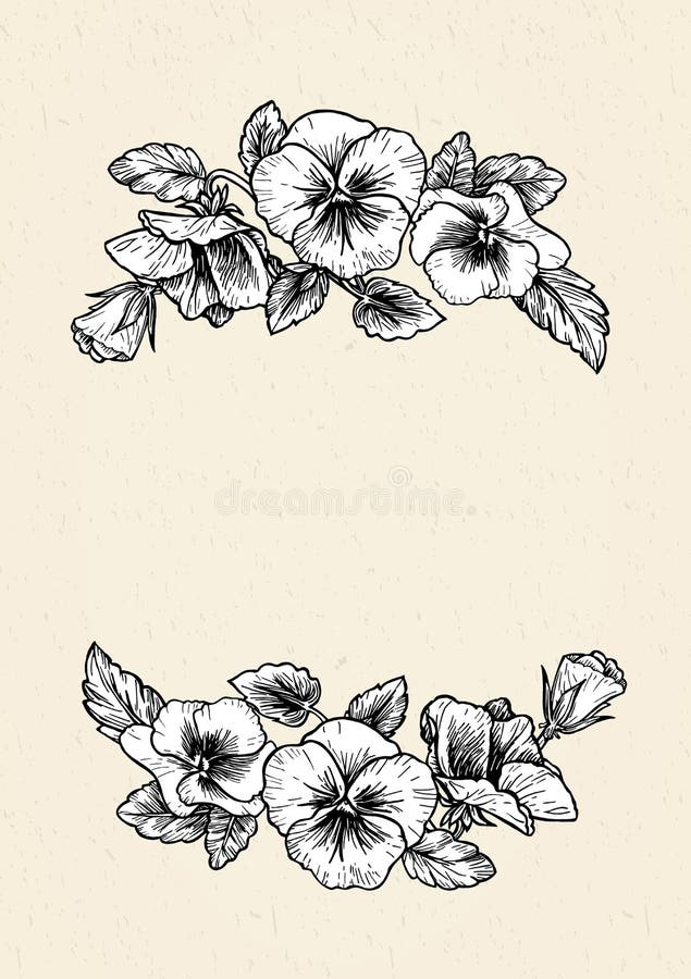 Frame with Hand Drawn Pansy Flowers Stock Vector - Illustration of ...