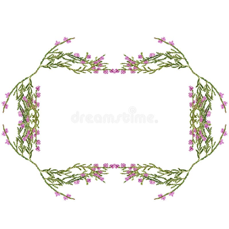 Heather Sprig Stock Illustrations – 29 Heather Sprig Stock ...