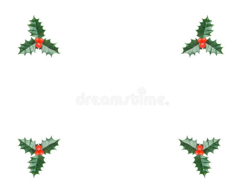 Frame of holly stock illustration. Illustration of ornament - 6903636