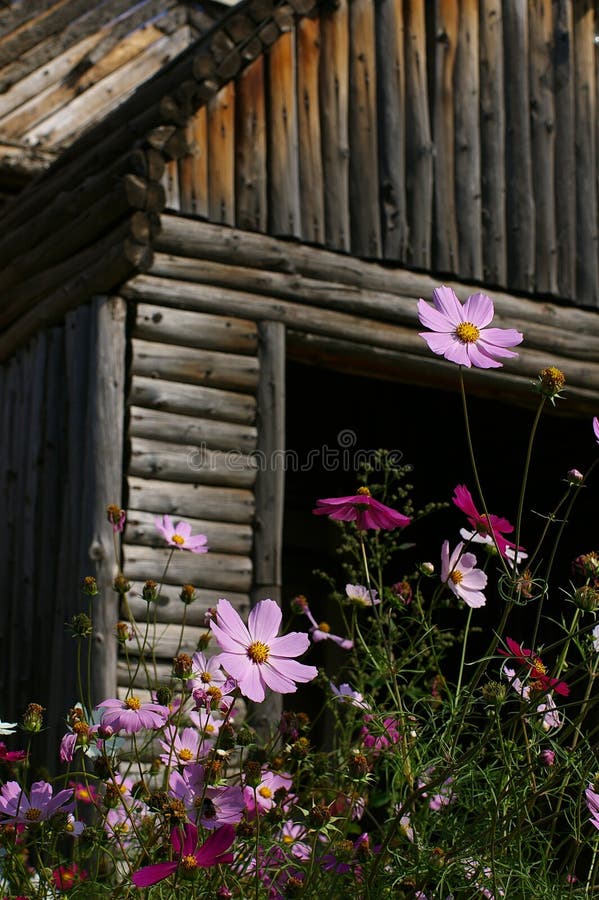 Frame house stock photo. Image of frame, home, life, grassland - 12713406