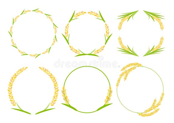 Frame Illustration of Rice Pattern. Set of 6 Designs Stock Illustration ...