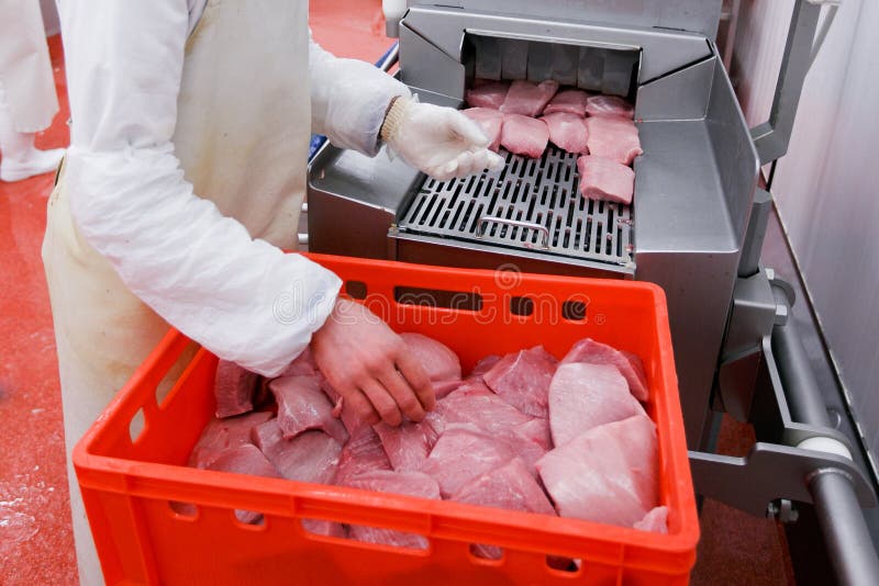 Frame Image of Worker Hands Holding a Raw Cuts of Meat, Introduced into ...