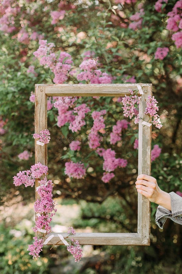 Frame Inscription Floral Natural Background Spring Time Stock Photo ...