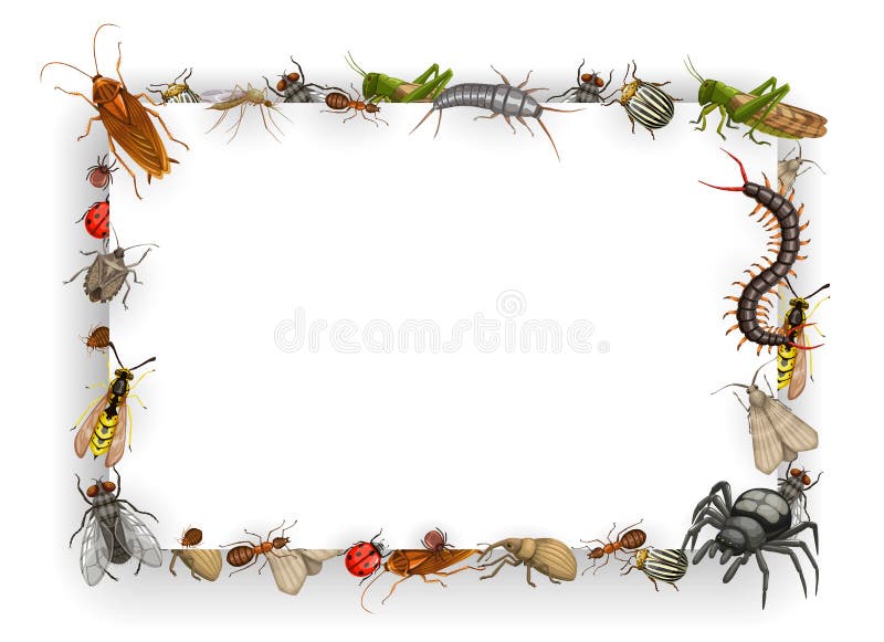 Frame with Insects Cartoon Vector Parasites Border Stock Vector ...