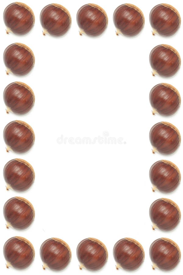 Frame of Isolated Macro Image of Raw Chestnuts Stock Photo - Image of ...