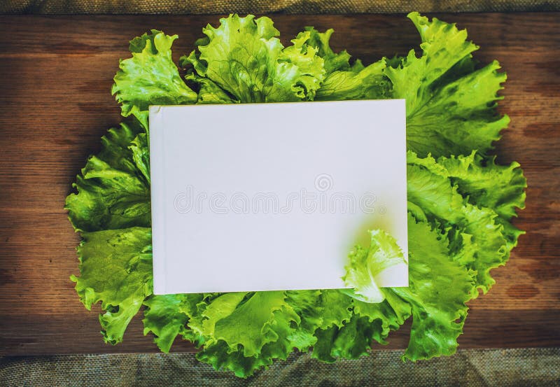 Frame Leaf of Lettuce Around the Book Stock Photo - Image of shape ...