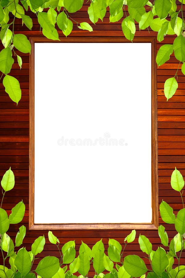 Frame_leaves stock image. Image of frame, museum, custom - 25792977