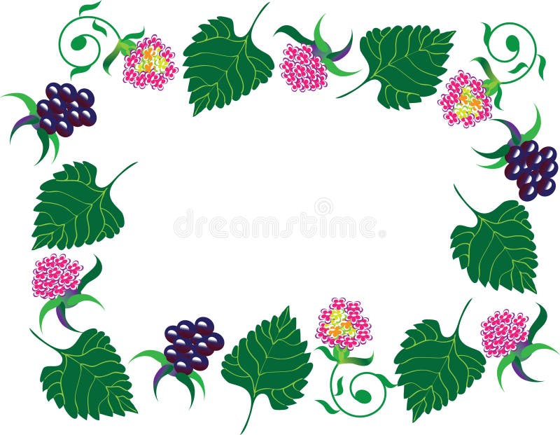 Frame from Leaves and Berry. Stock Illustration - Illustration of berry ...