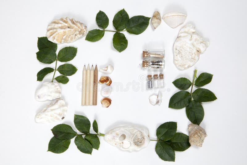 Frame from the Leaves of Roses and Shells on White Background Stock ...
