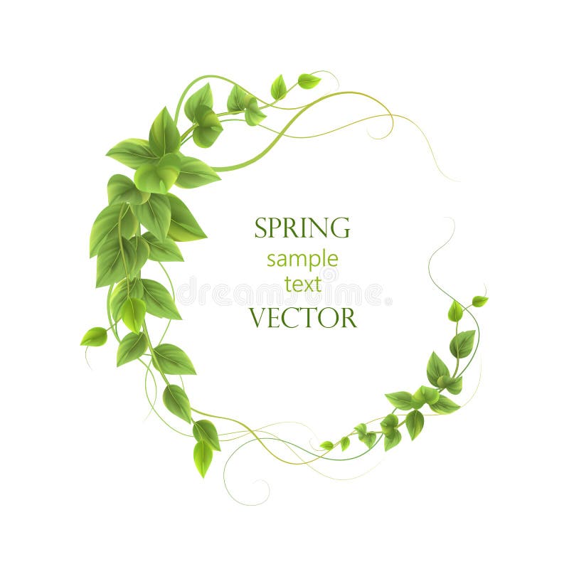 Frame with Leaves for Your Text, Vector Leaves. Frame Stock Vector ...
