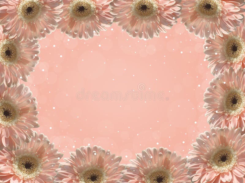 Pink Flowers on a Pink Background. Stock Illustration - Illustration of ...