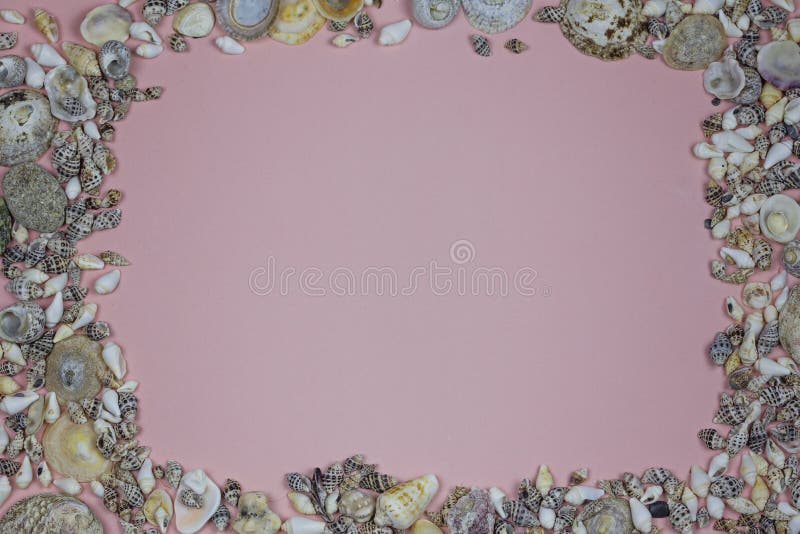The Frame is Lined with Seashells on a Pink Background Stock Photo ...