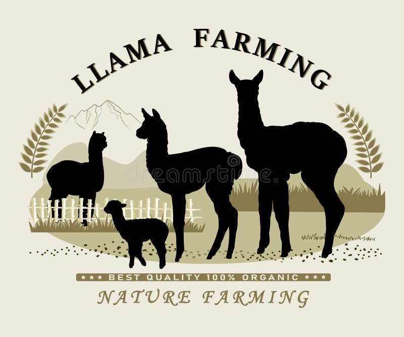 Frame with Llama and Alpaca Farm Objects Silhouettes and Text for ...