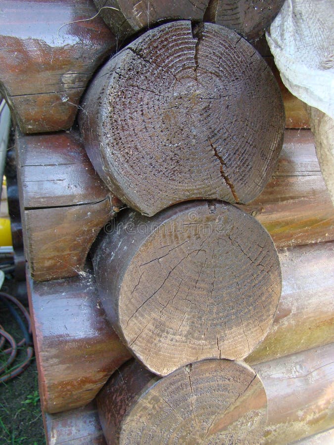 Frame stock photo. Image of structure, round, spruce - 64087314