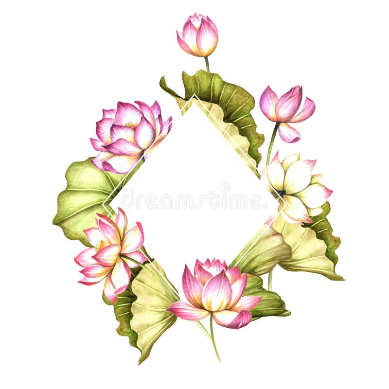 Frame with Lotus. Hand Draw Watercolor Illustration. Stock Illustration ...