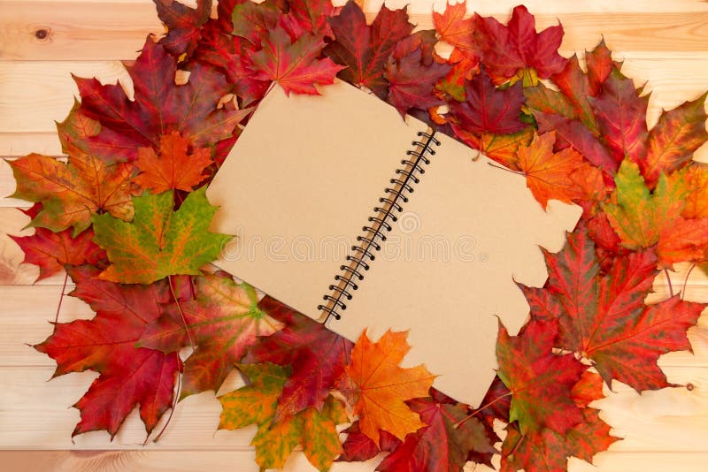 Frame Made of Autumn Maple Leaves Around an Empty Notebook on Wooden ...
