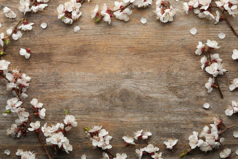 Frame Made of Beautiful Fresh Spring Flowers on Wooden Table, Top View ...