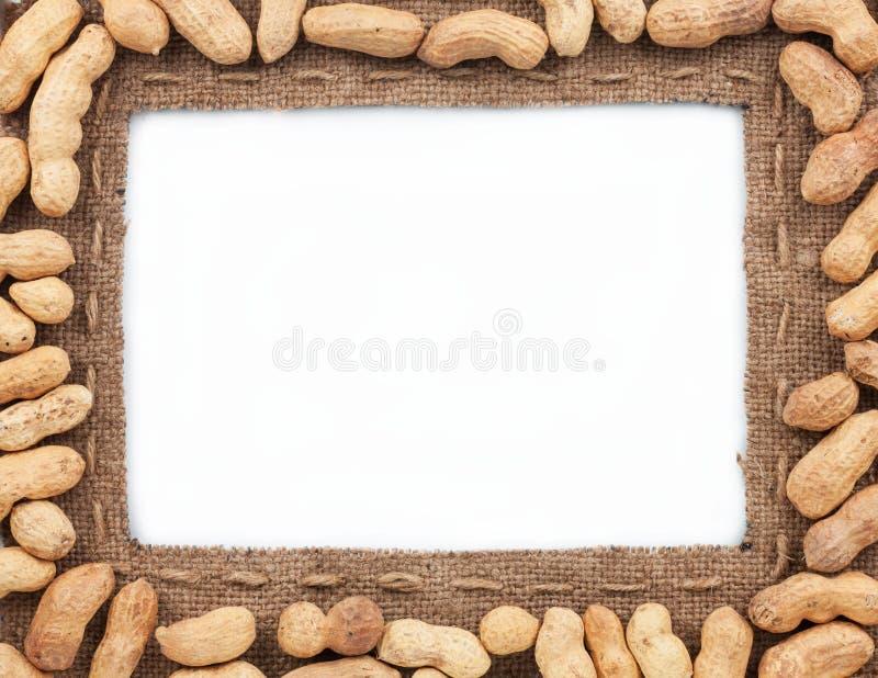 705 Peanut Border Stock Photos - Free & Royalty-Free Stock Photos from ...