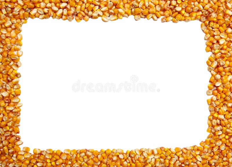 712 Corn Seeds Frame Stock Photos - Free & Royalty-Free Stock Photos ...