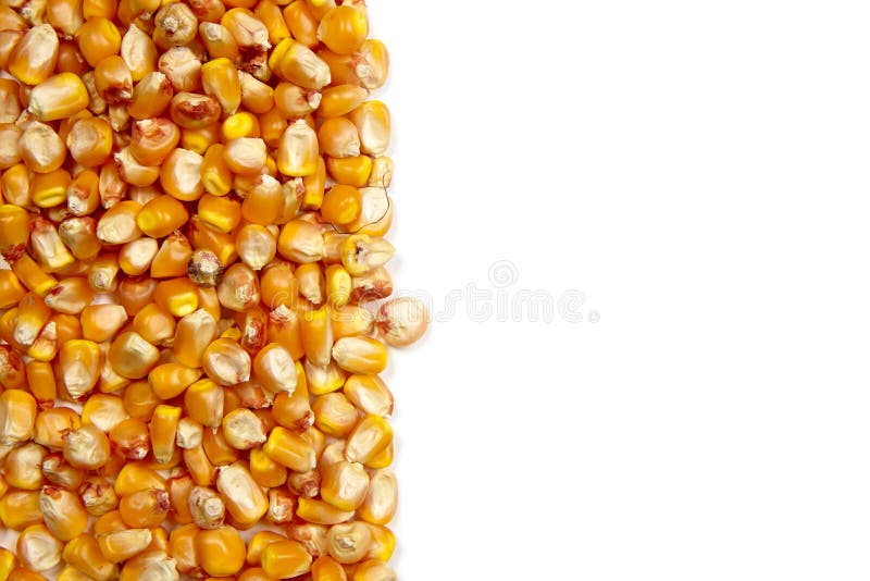 712 Corn Seeds Frame Stock Photos - Free & Royalty-Free Stock Photos ...