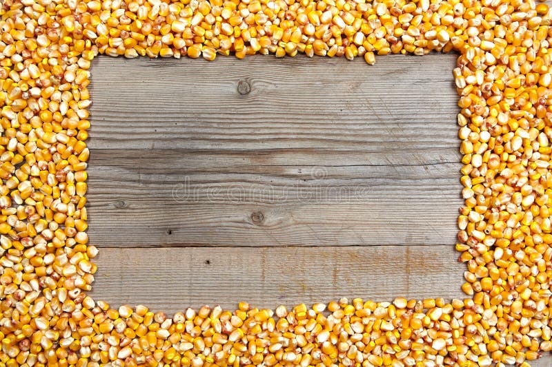 712 Corn Seeds Frame Stock Photos - Free & Royalty-Free Stock Photos ...