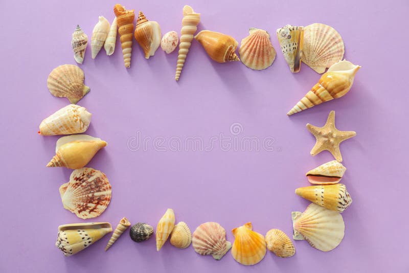 Frame Made of Different Sea Shells on Color Background Stock Image ...