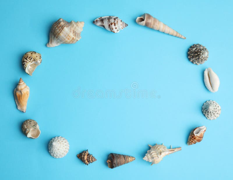 Frame Made with Different Sea Shells on Blue Background, Flat Lay ...