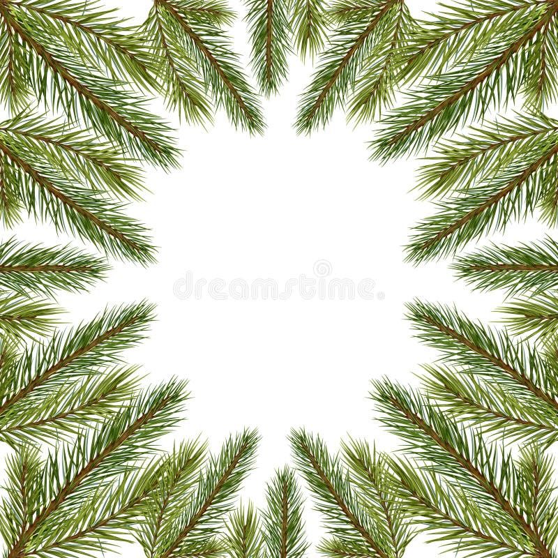 Frame Made of Fir Tree Branches Digital Illustration. Pine Branches in ...