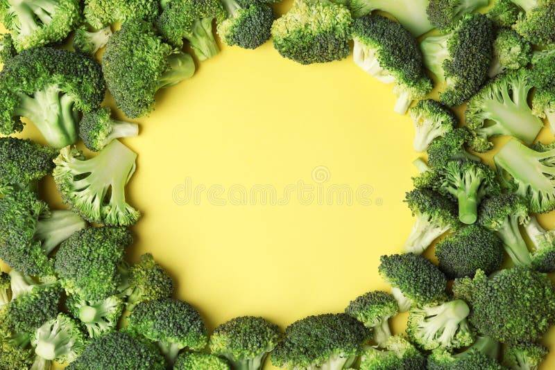 Frame of Broccoli Isolated on Background. Fresh Vegetable Stock Image ...