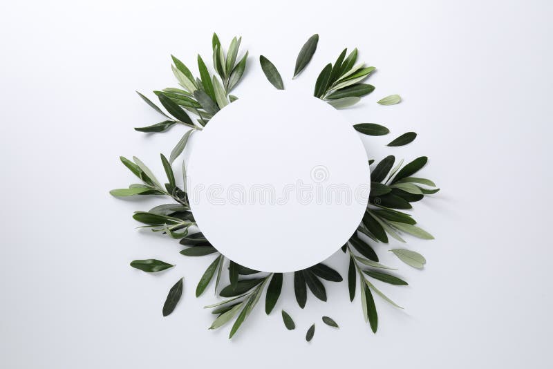 Frame Made of Fresh Green Olive Leaves on White Background, Flat Lay ...