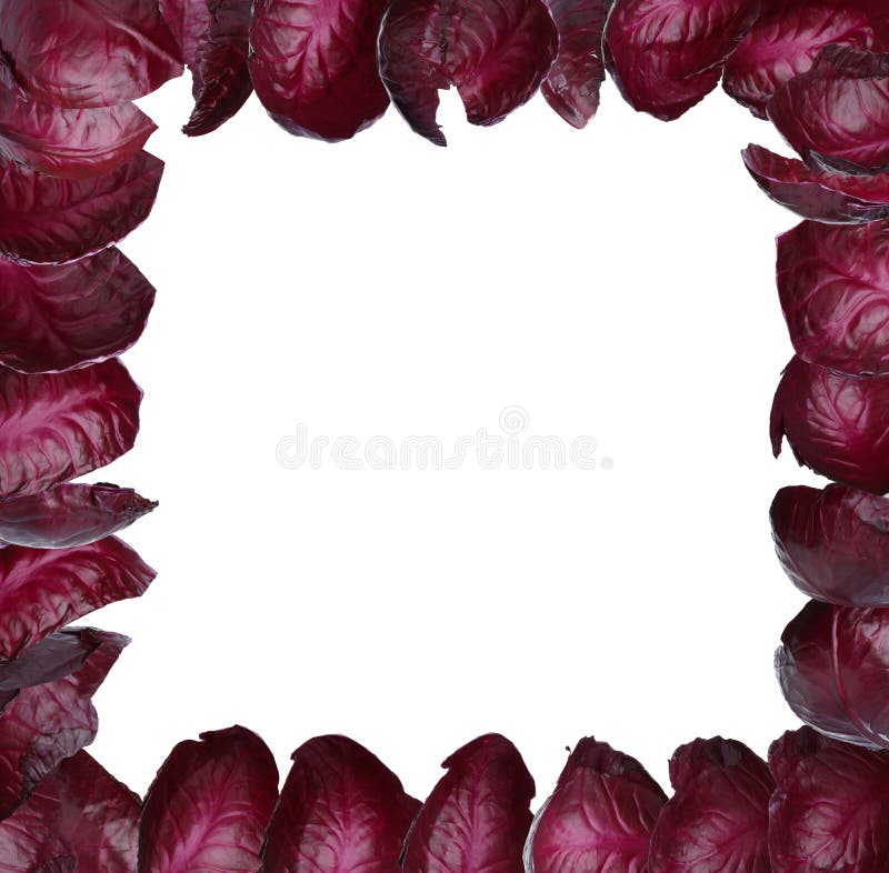 Frame Made with Fresh Leaves of Red Cabbage on Background. Space for ...