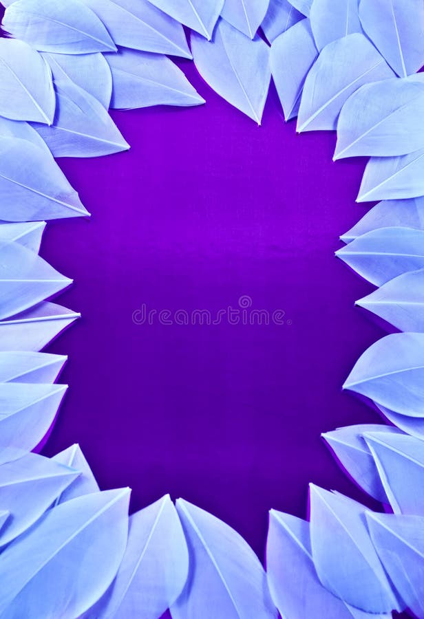 Feather frame stock image. Image of color, gentle, blue - 29881415