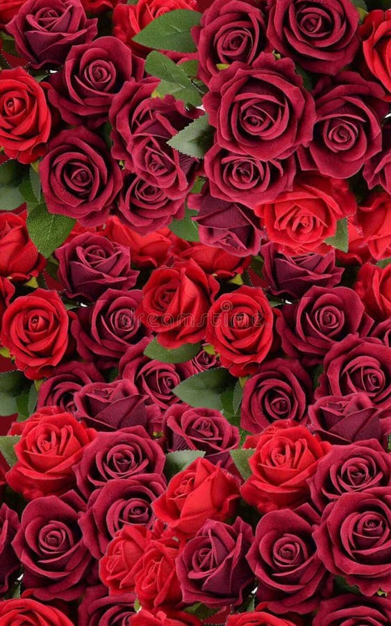 Frame Made of Red Roses on a Photocopy Space Background. Flat Design ...