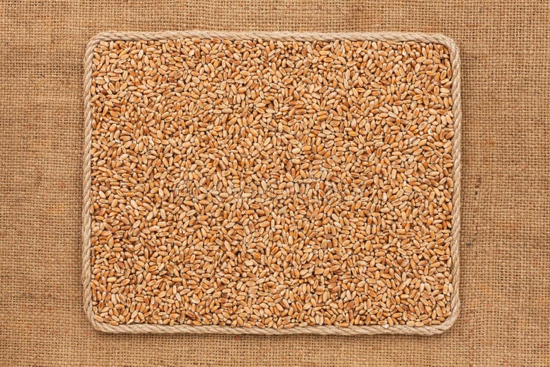 Frame Made of Rope with Wheat Grains on Sackcloth Stock Photo - Image ...