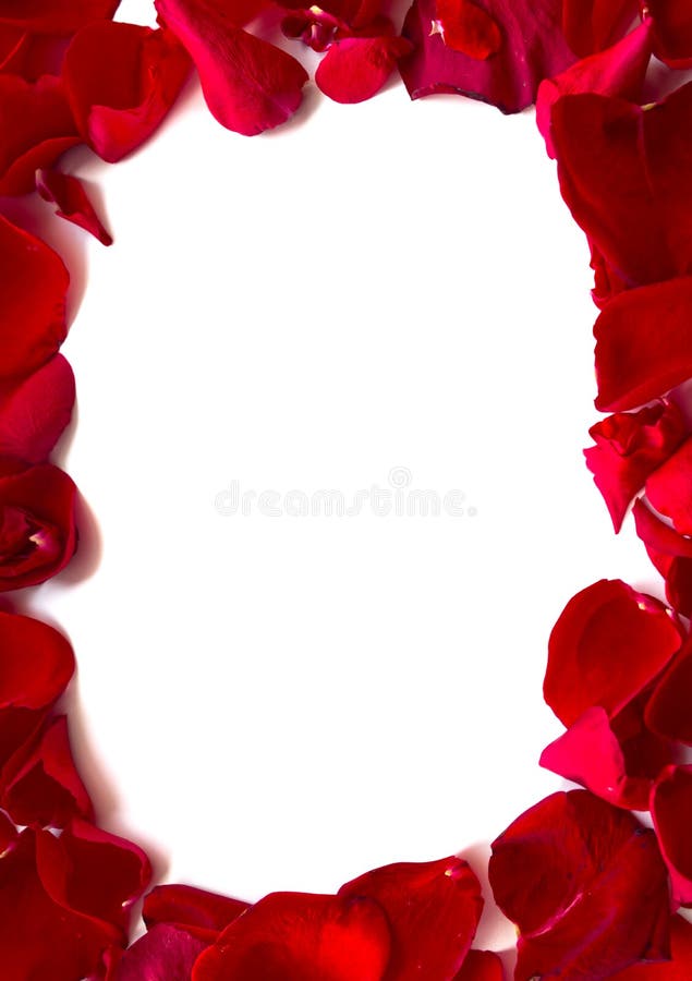 Frame made of Rose Petals stock photo. Image of flower - 52278068
